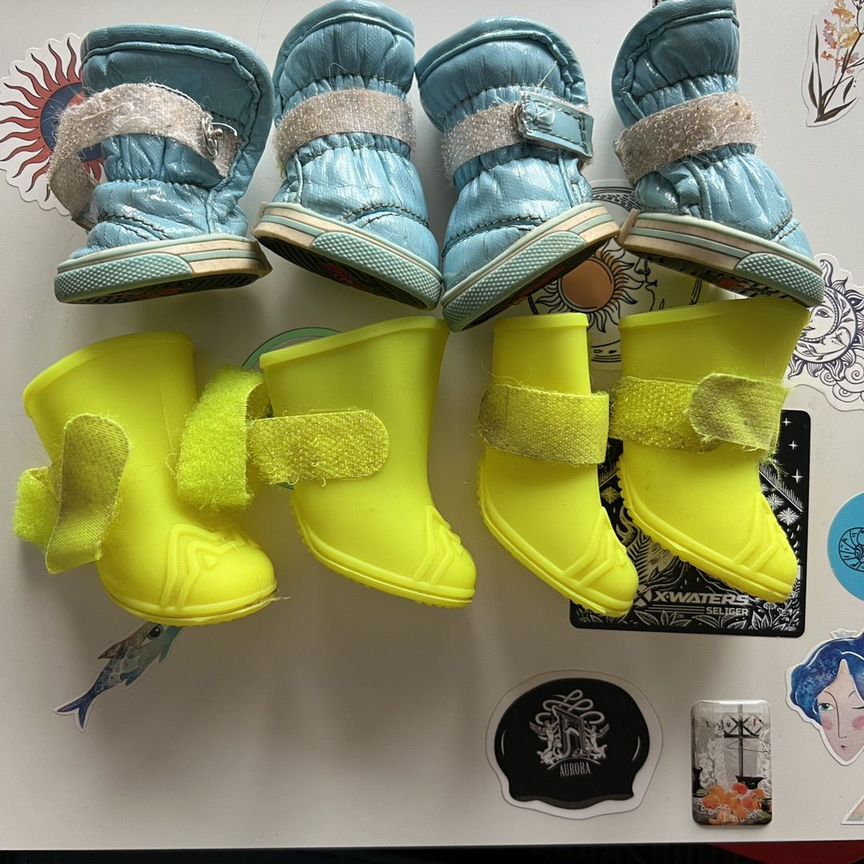 Обувь для собак