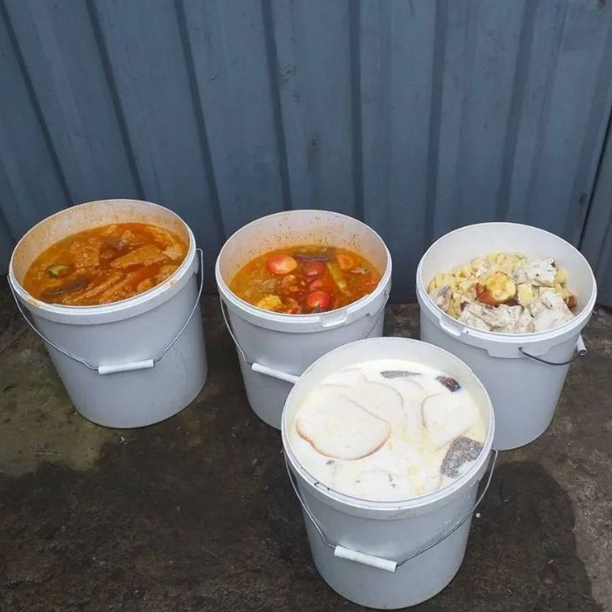 Пищевые отходы для животных