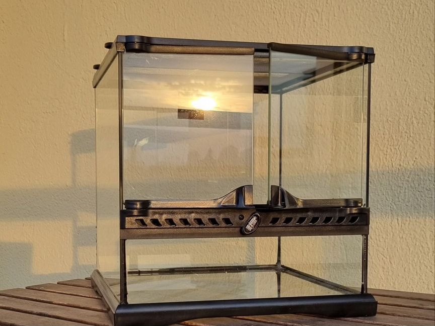 Террариум для рептилий