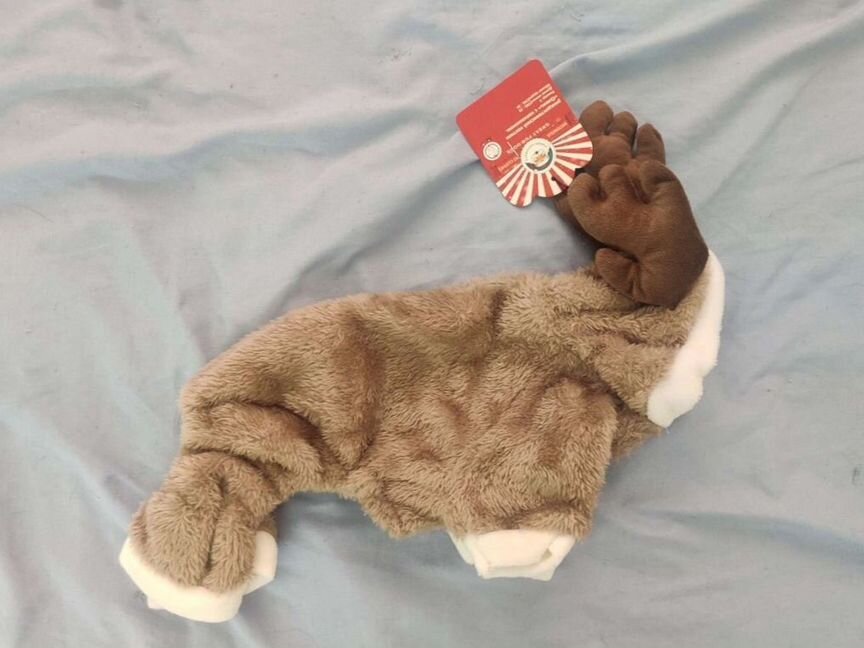 Костюмчик для маленькой собачки или кошечки