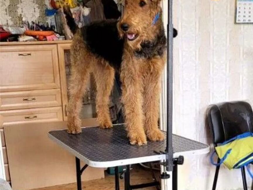 Стол для груминга с кронштейном и ринговкой