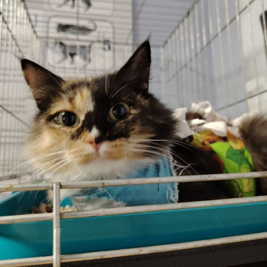 Помогите найти дом