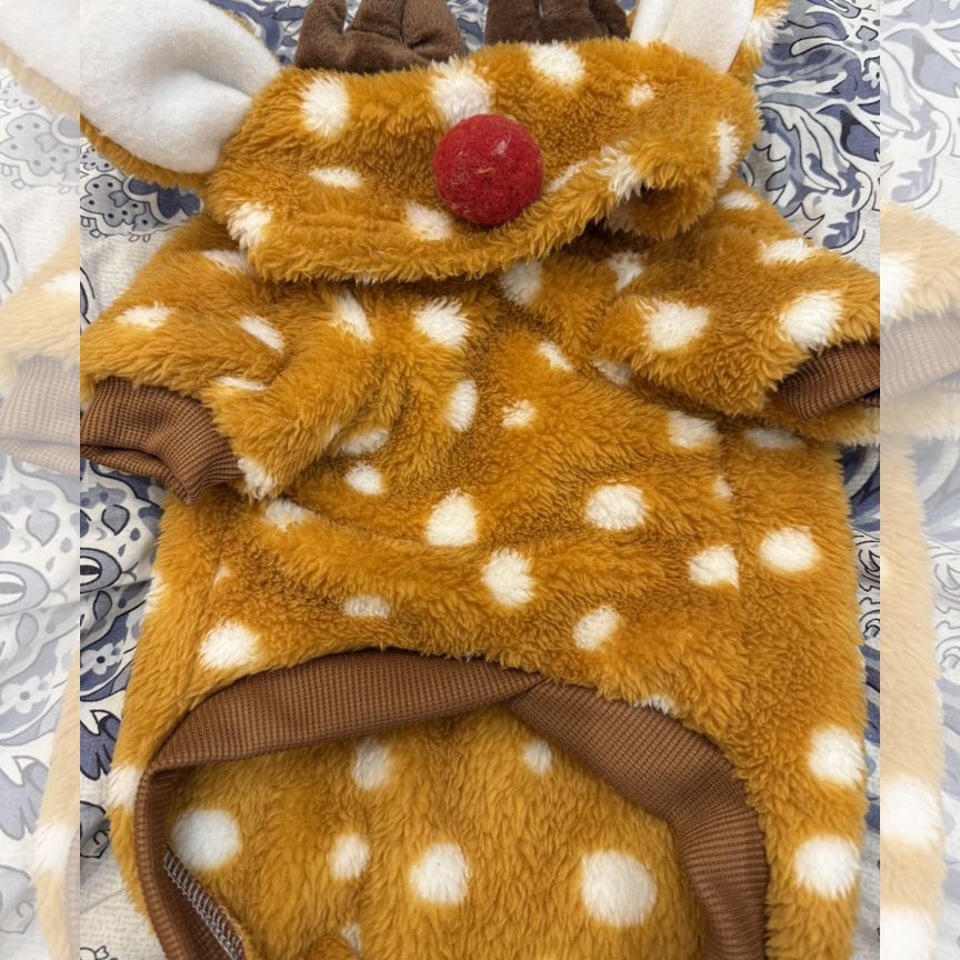 Одежда для маленьких собак