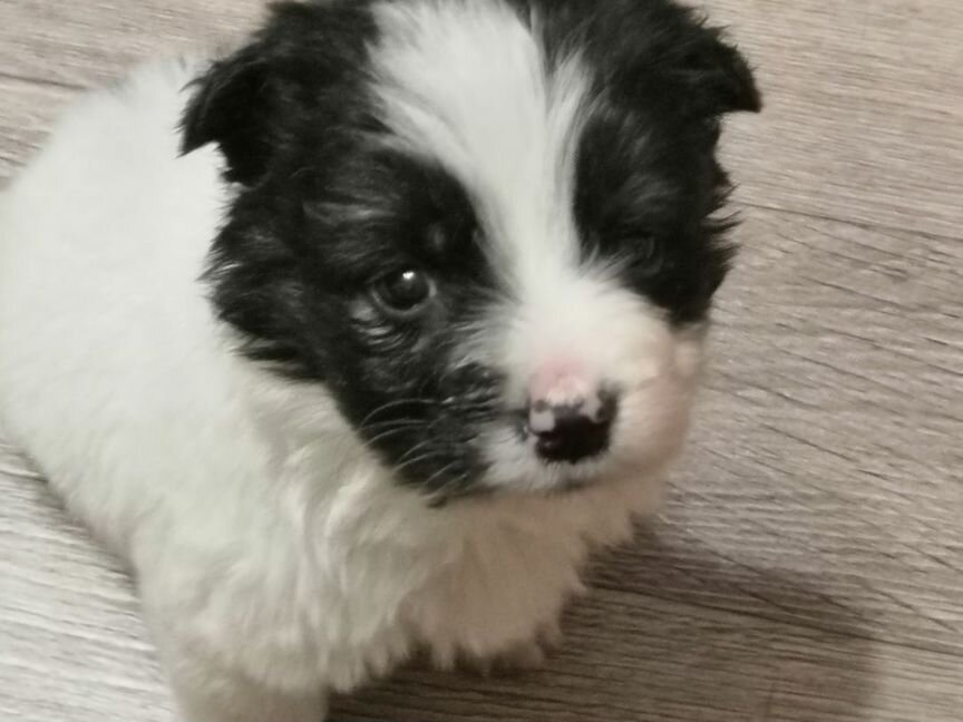 Милый парень ждёт семью