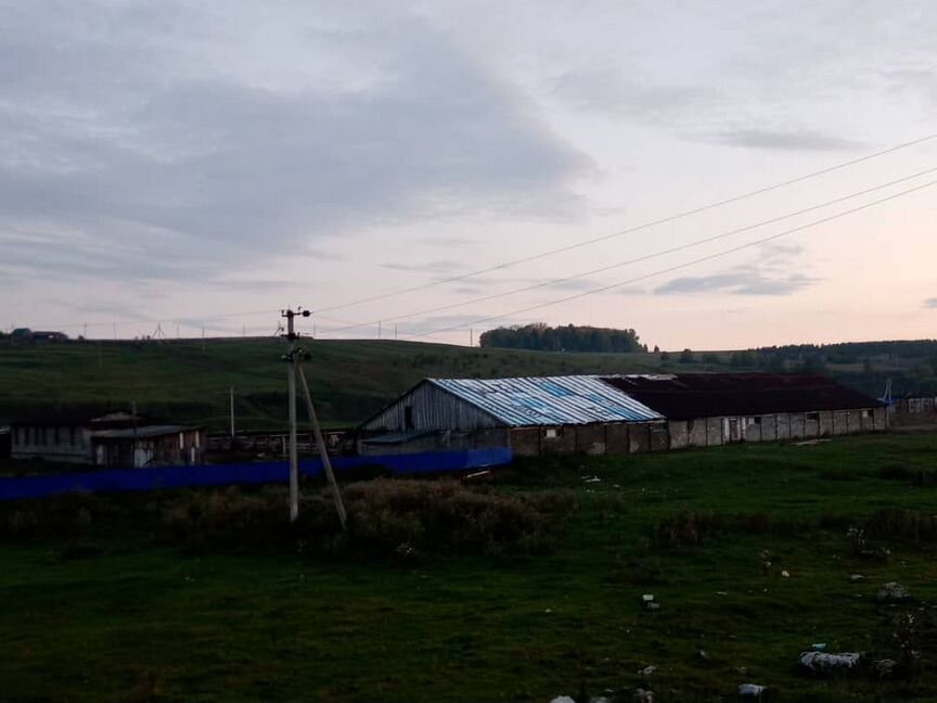 Продам ферму