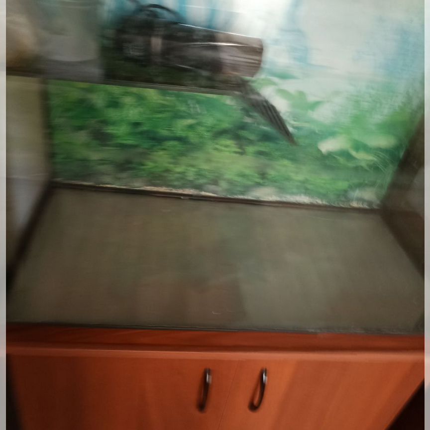 Аквариум для черепахи террариум