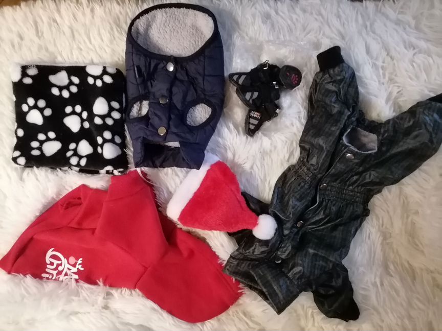 Одежда для собак мелких пород пакетом s