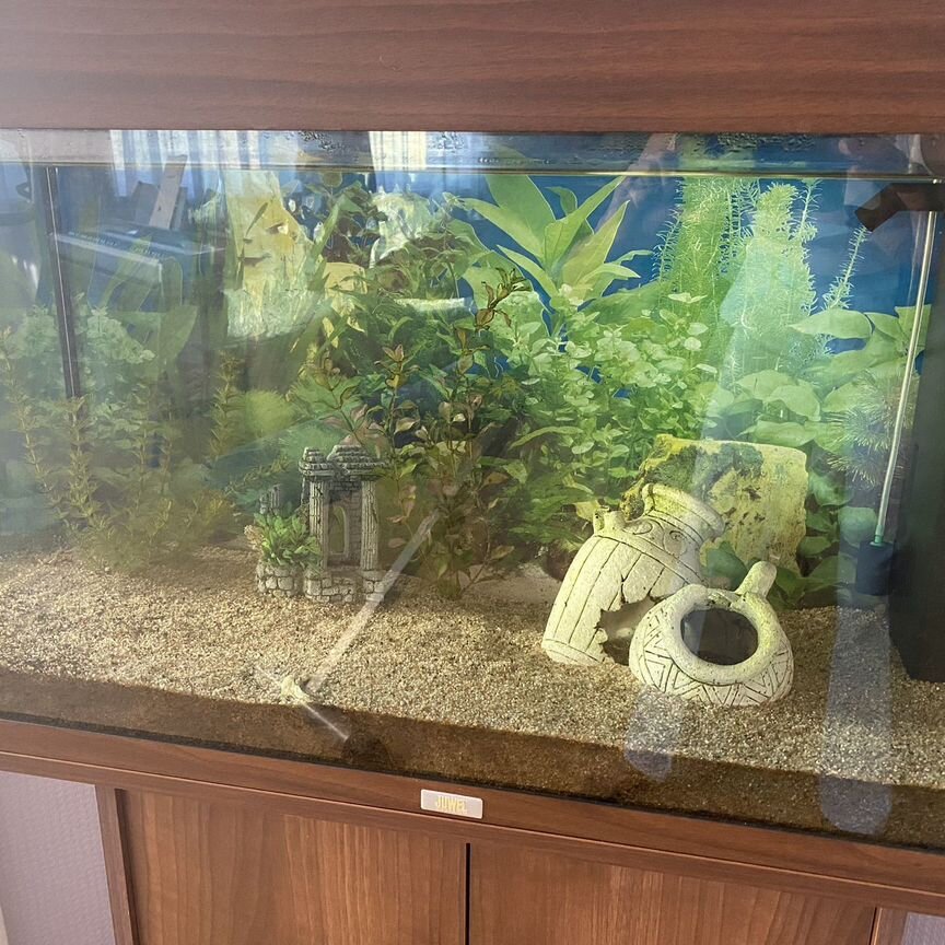 Аквариум с тумбой juwel