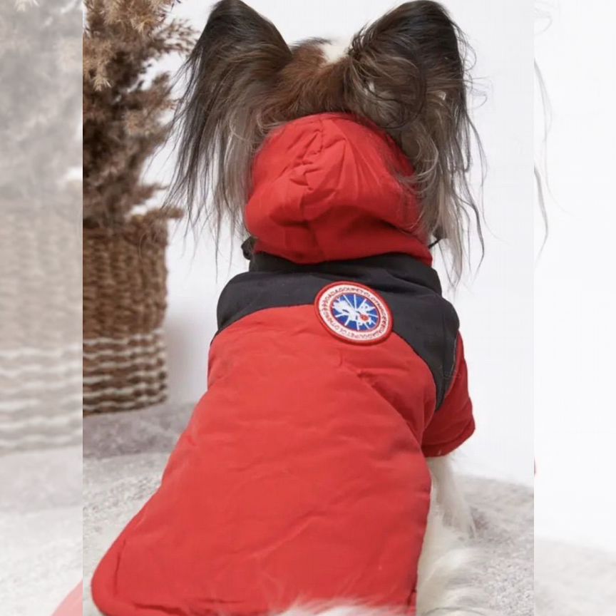 Куртка зимняя для собак в стиле Canada Goose