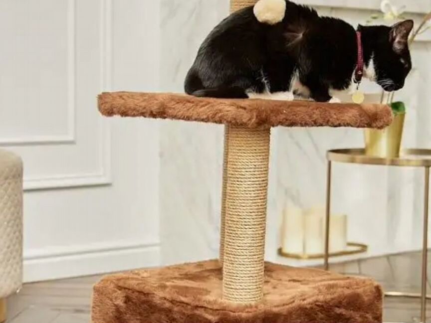 Домик для кошки с когтеточкой лежанкой