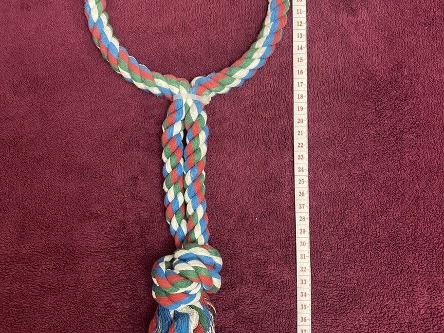 Кольцо для попугая