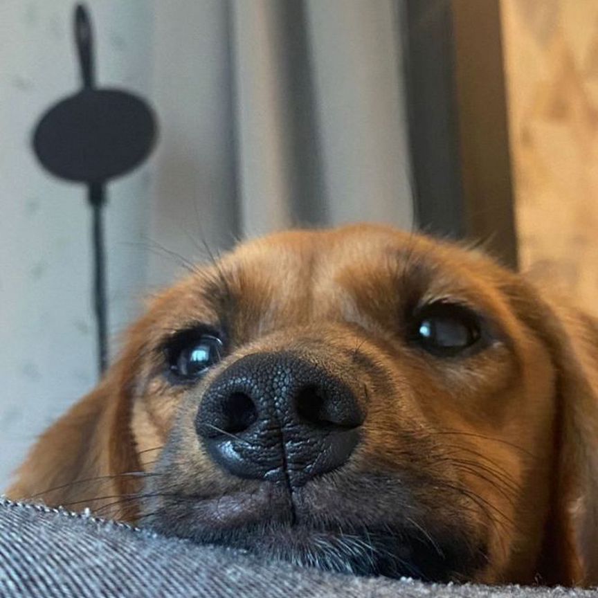 Поигрались и выкидывают,ищу надежный дом девчуле