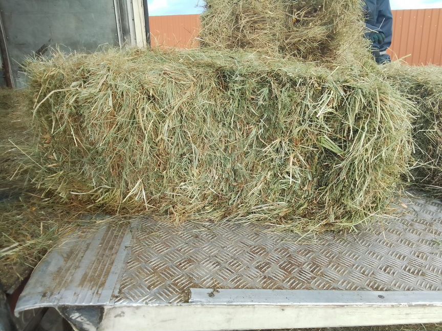 Сено в тюках