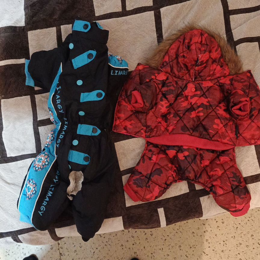 Комбинезон для собаки