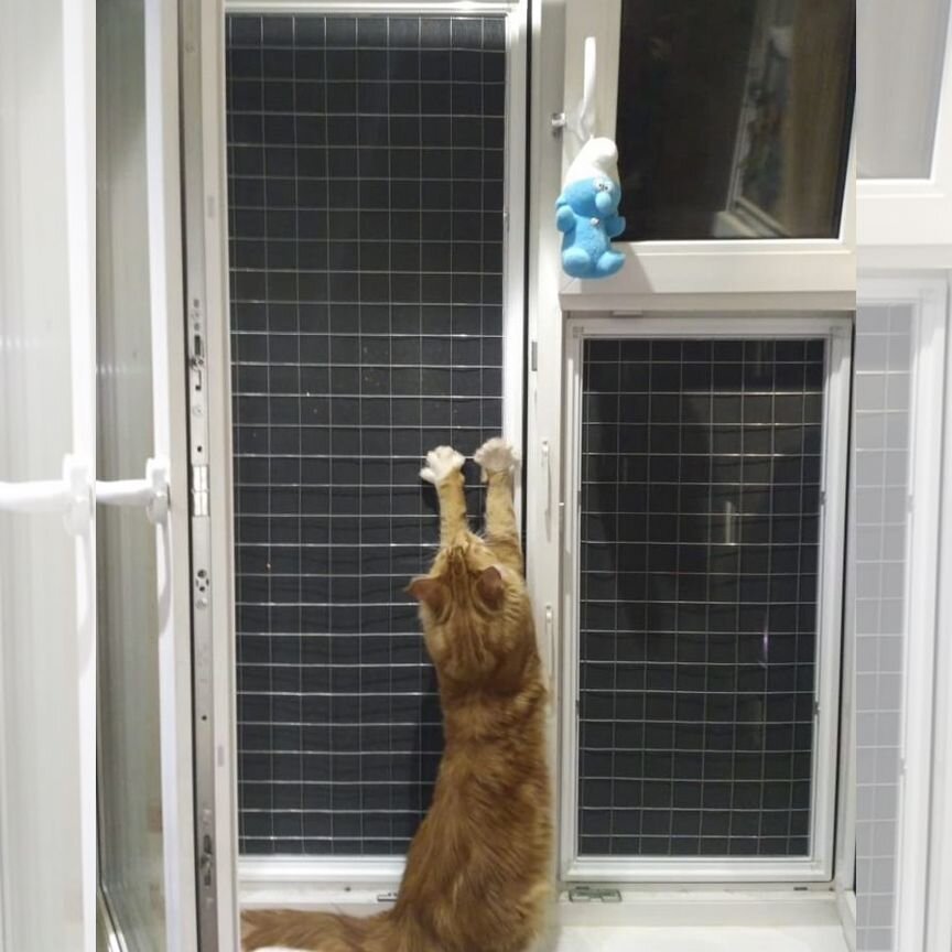 Антикошка 50х50,балкончик,сетка антикошка