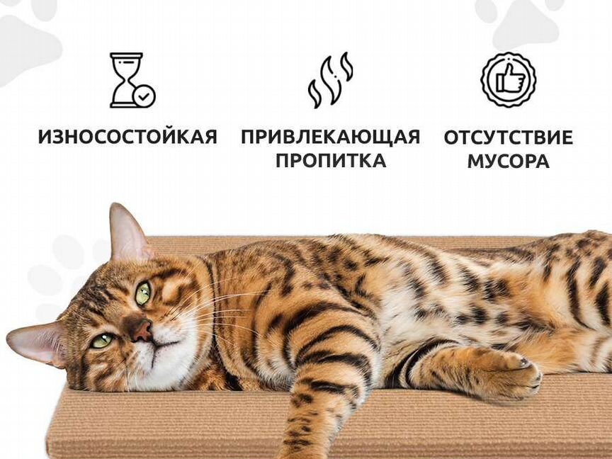 Когтеточка лежанка для кошек, котов и котят