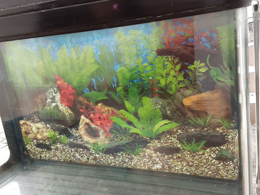 Аквариум джебо r-375