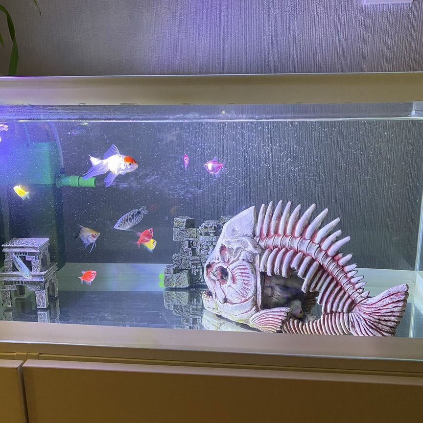 Аквариум, рыбки, декор