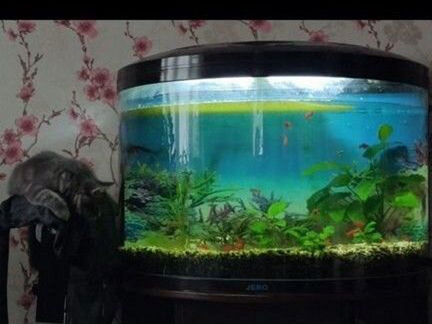 Аквариум панорамный с тумбой