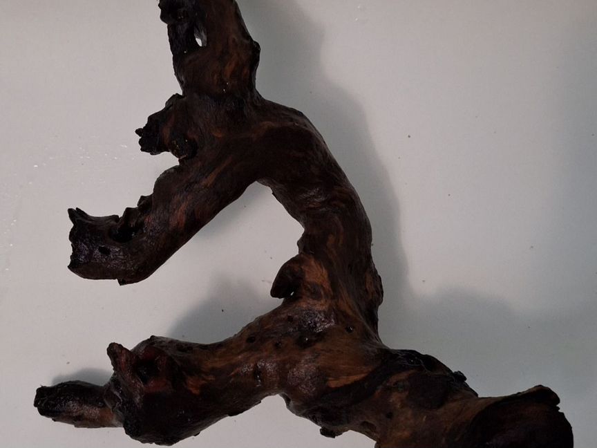 Коряга мопани б.у