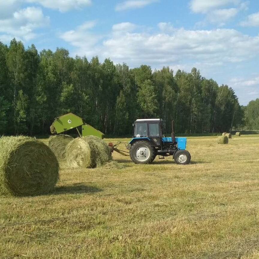 Сено в рулонах