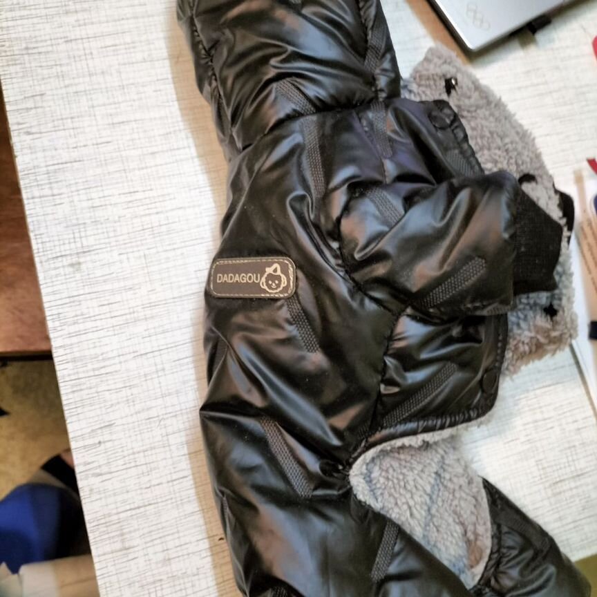 Одежда для маленькой собачки