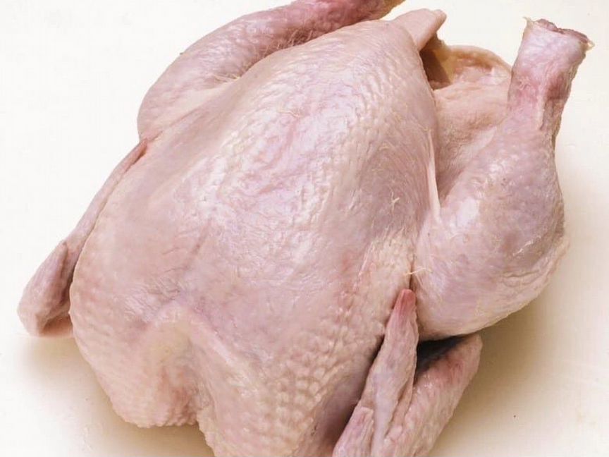 Домашняя индюшка