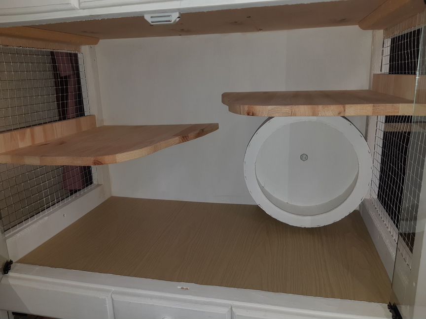 Витрина для шиншилл