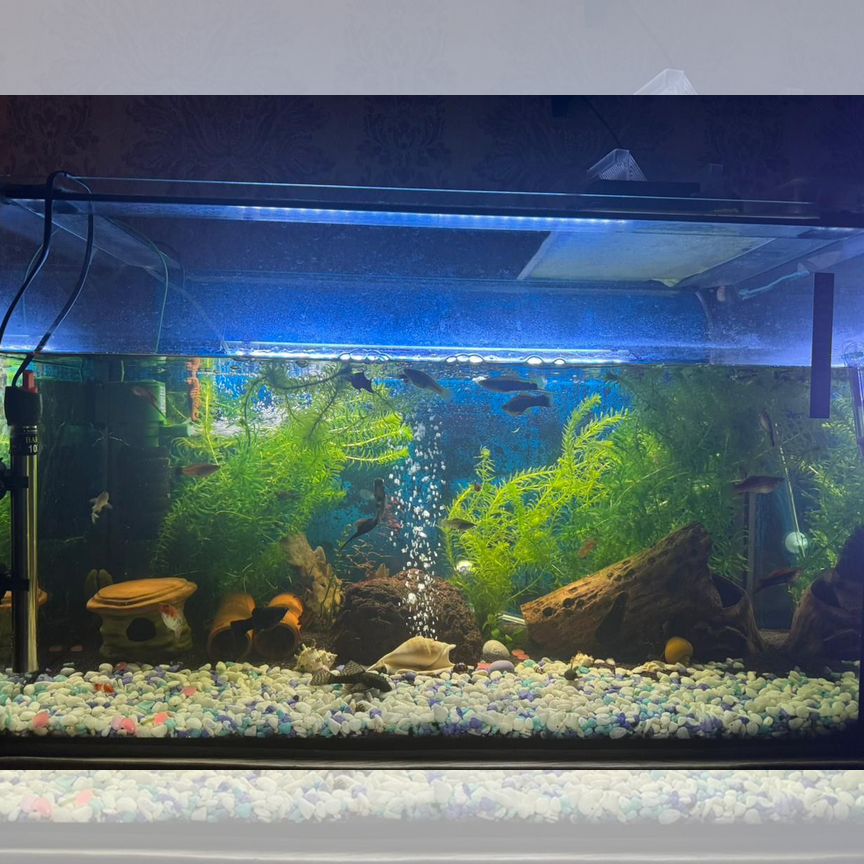 Аквариум с тумбой