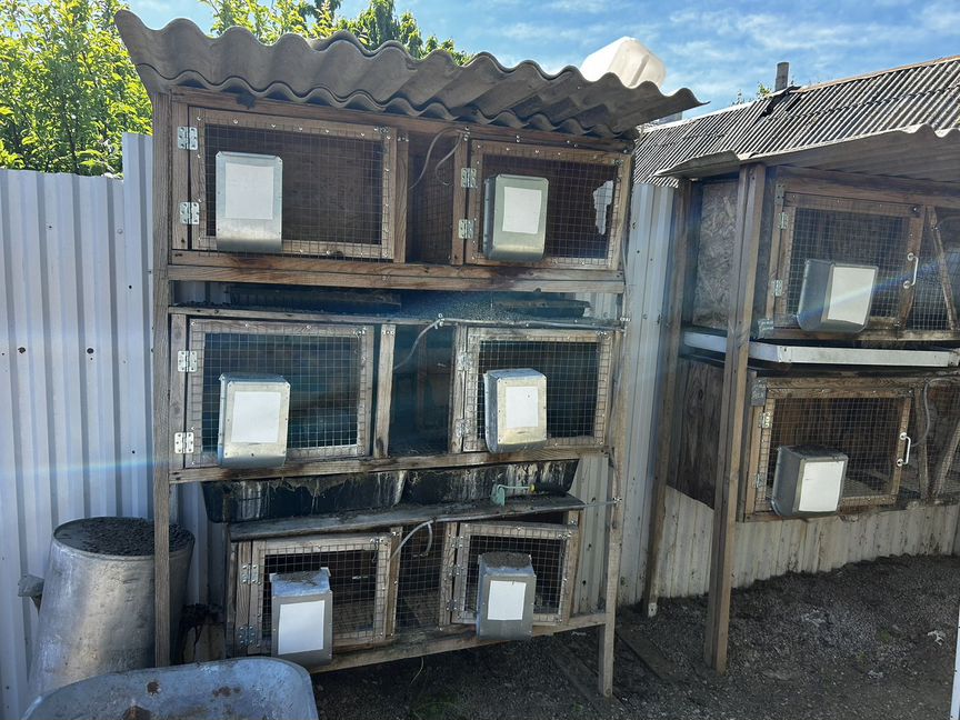 Клетка для кролика