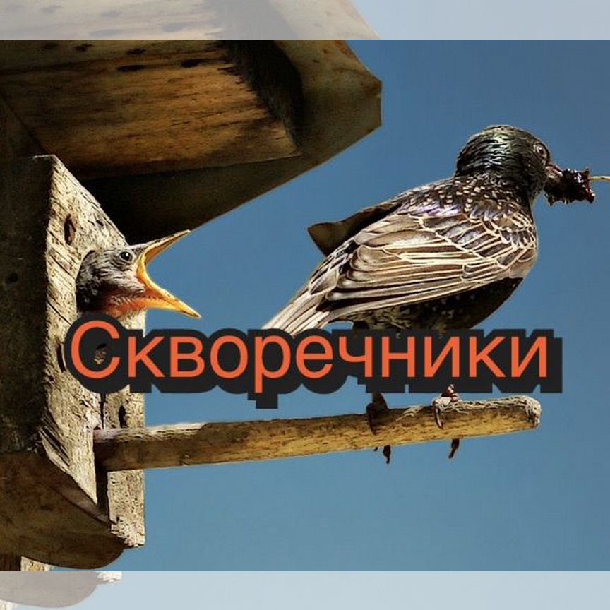 Скворечник деревянный для птиц
