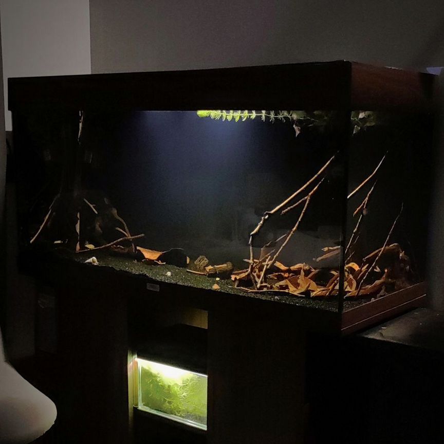 Черный грунт для аквариума 10кг, черный кварц