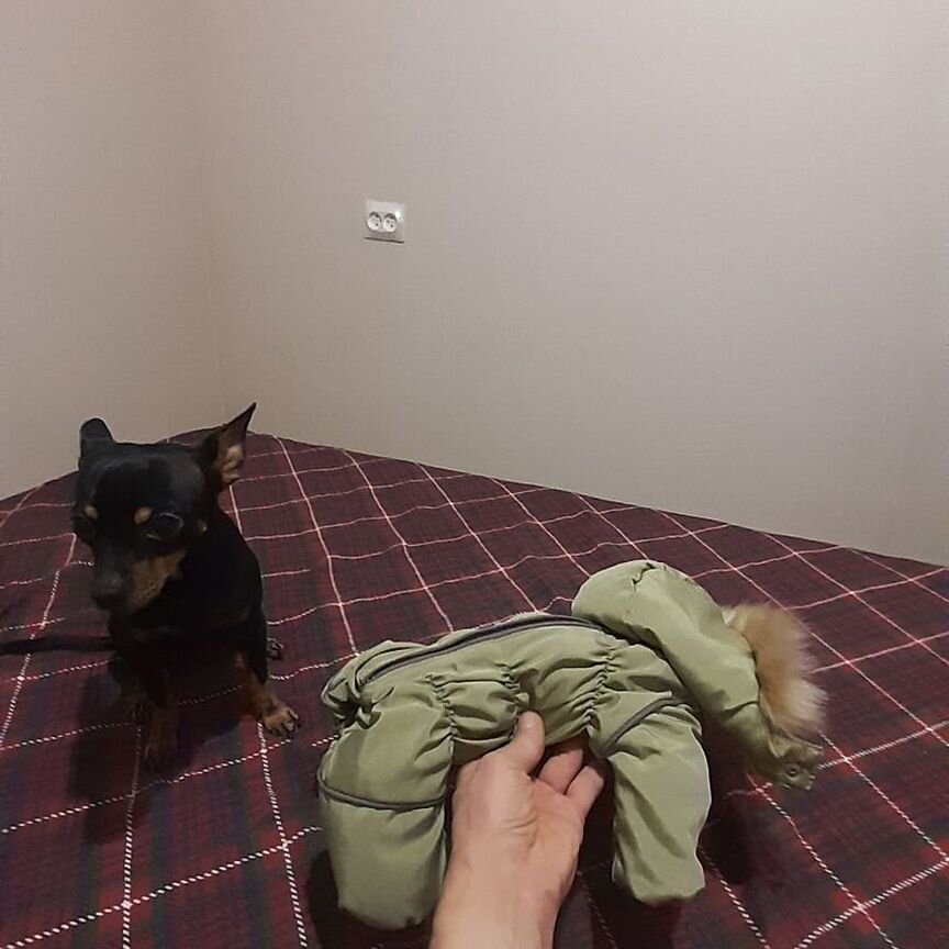 Костюм зимний дл собаки