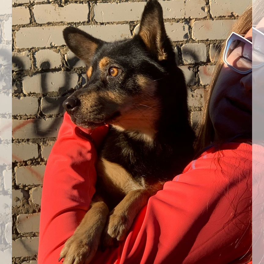 Джек ищет дом