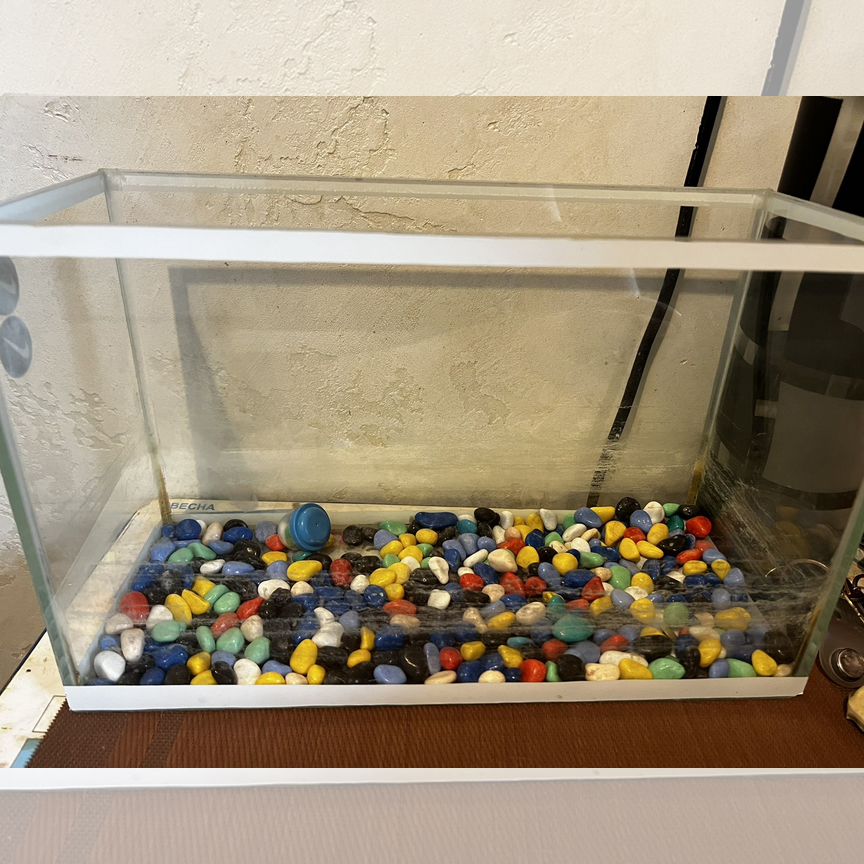 Аквариум для черепашки