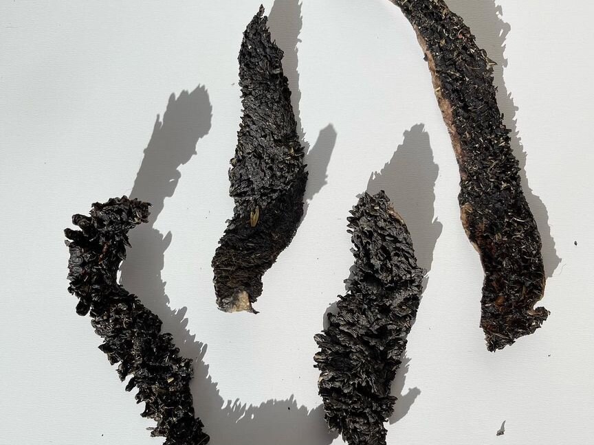 Лакомства для собак: Рубец говяжий сушеный