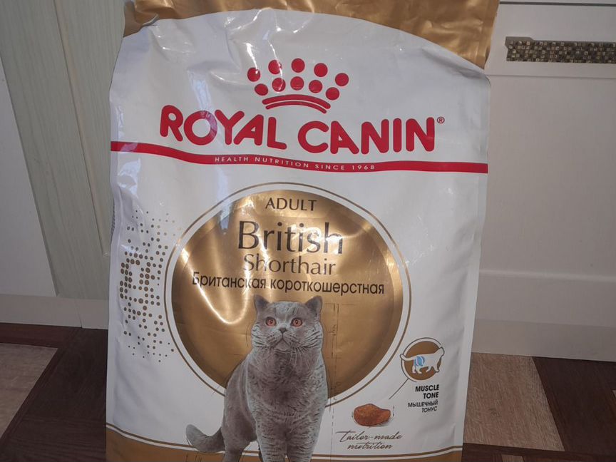Сухой корм для кошек royal canin