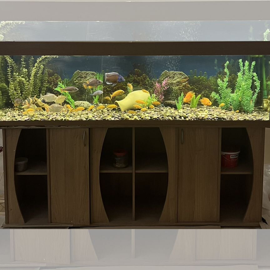 Аквариум с рыбками