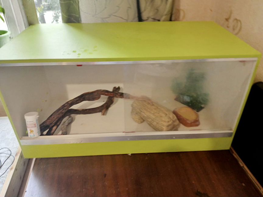 Террариум доя рептилия