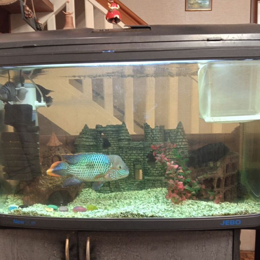 Продам аквариум jebo 140 литров