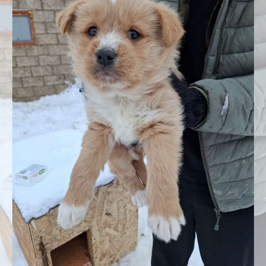 Отдам в хорошие руки (кабеля)