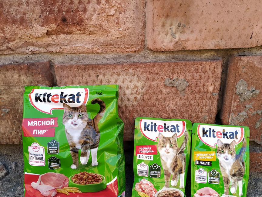 Сухой и влажный корм для кошек Kitekat