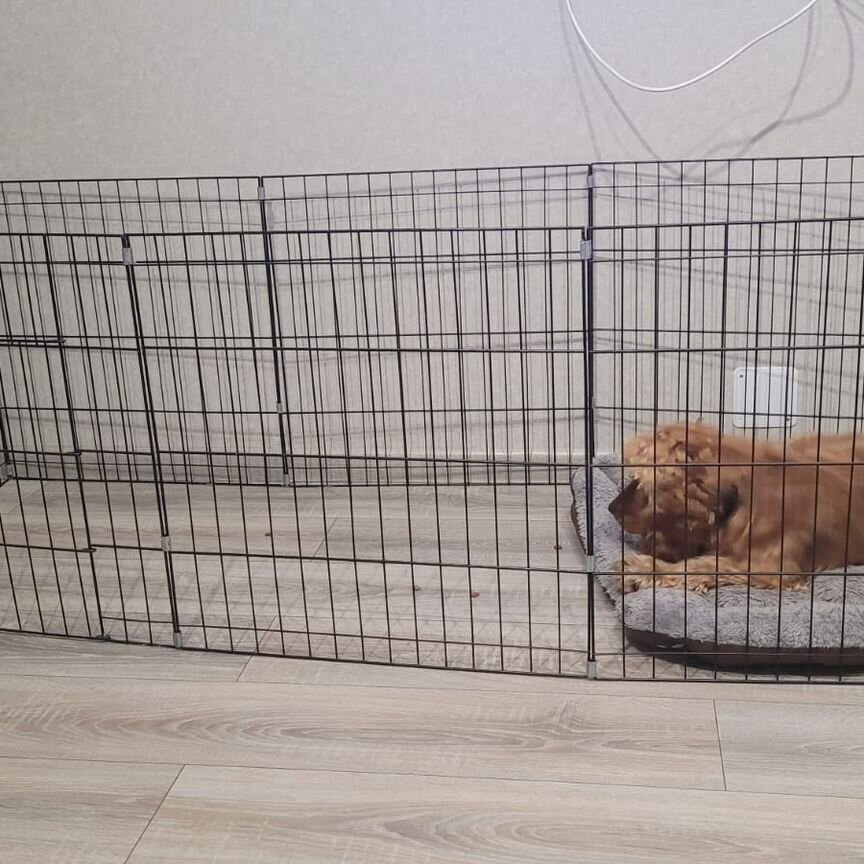 Вольер для собак