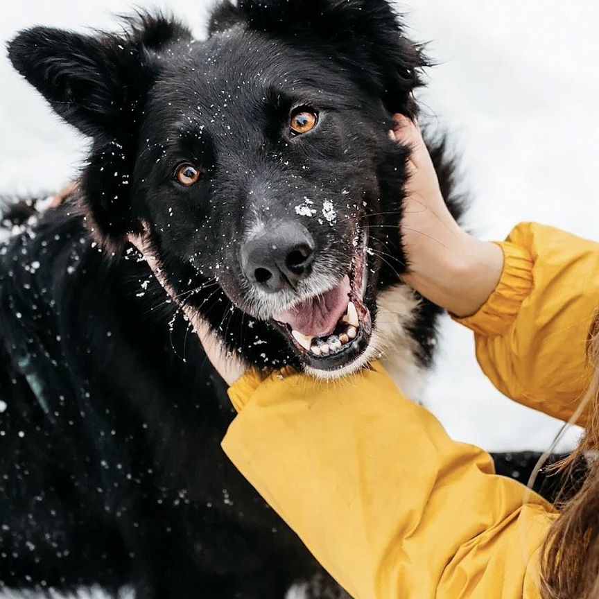 Красавица Есения в самые добрые руки