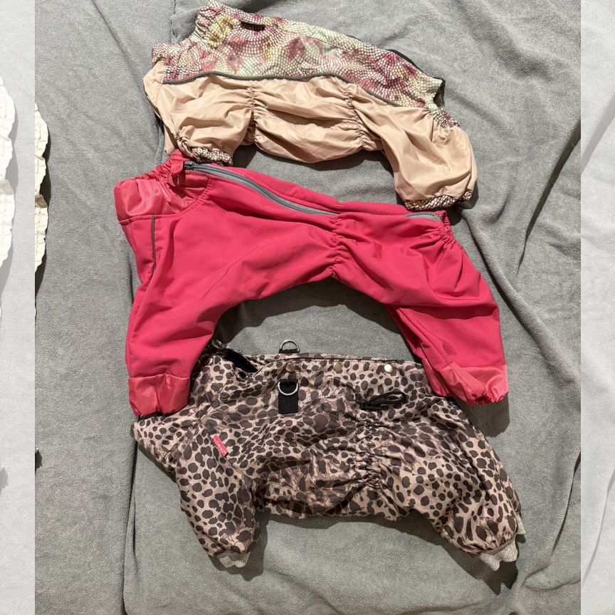 Комбинезон для собаки