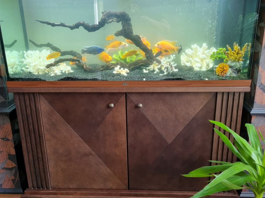 Аквариум с тумбой juwel