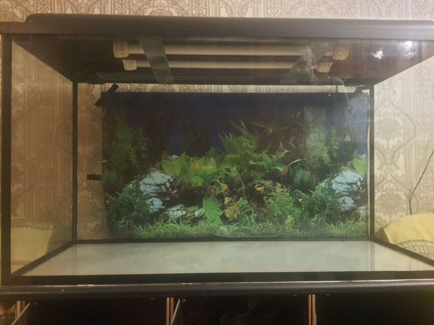 Аквариум с тумбой 210л