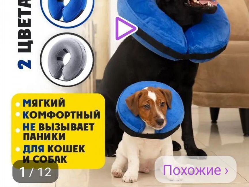 Фрисби для собак воротник