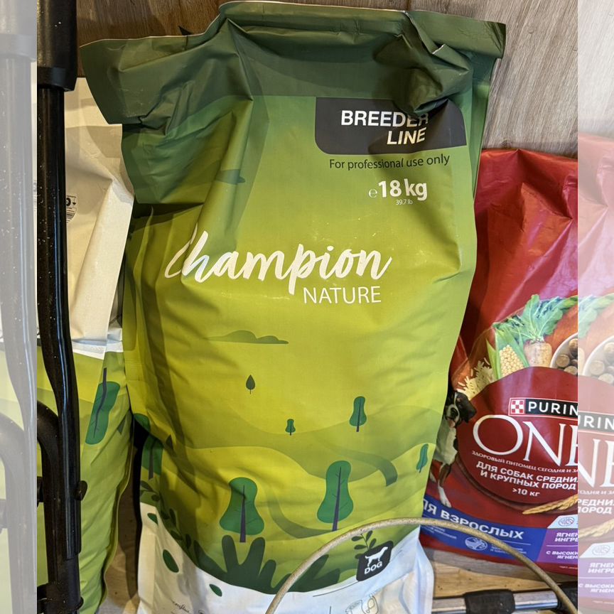 Корм для собак champion nature