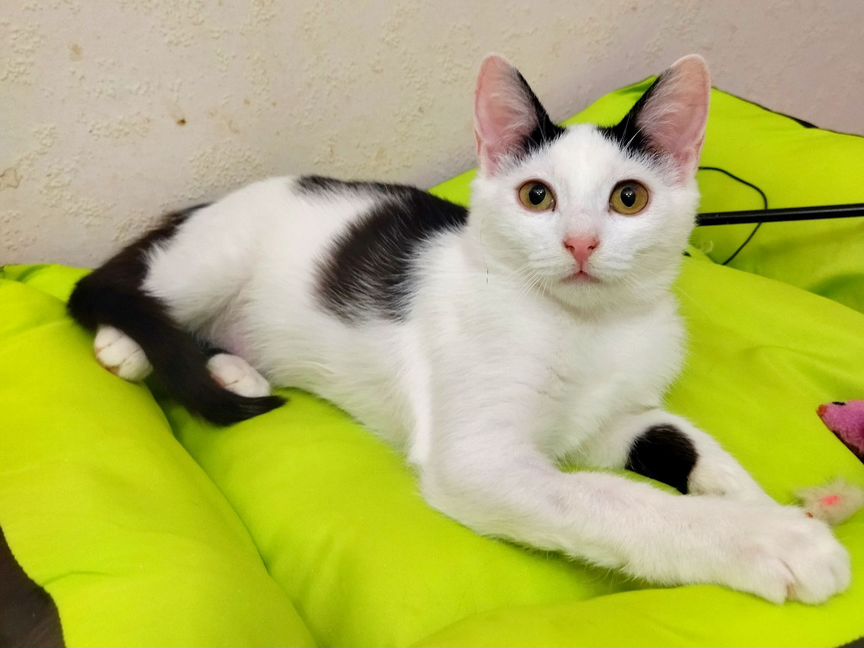 Девочка тоскует на передержка